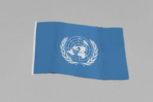 FN-flagg - Flaggstangspesialisten